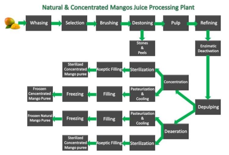 Turnkey Project Fruit Juice Production Line - PT. Osi Plastindo Jaya